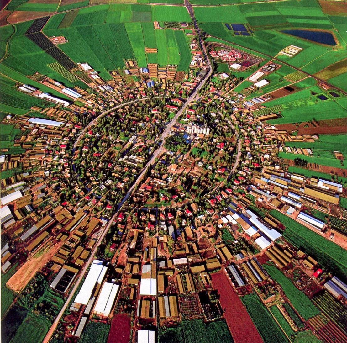 MEC-AI-SXXIV – WALTER SEBASTIAN ADLER